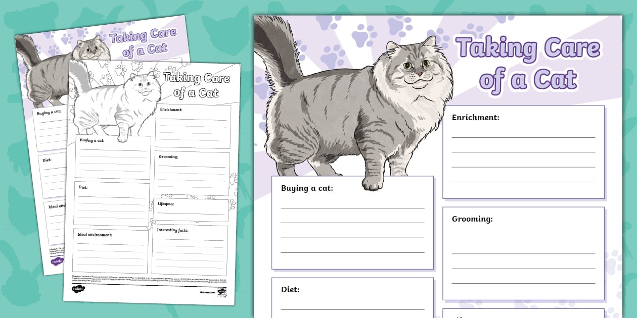 Taking Care of a Cat Fact File Template (teacher made)