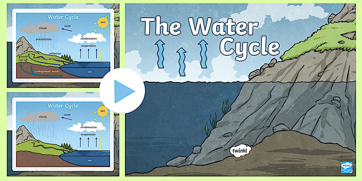 Simple Labelled Water Cycle Diagram PowerPoint - Twinkl