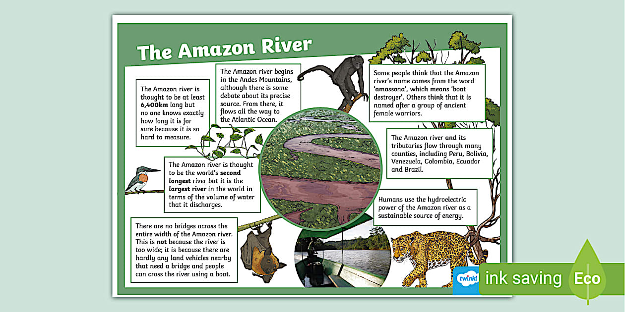 Amazon River Information Poster | Amazon River Facts KS2