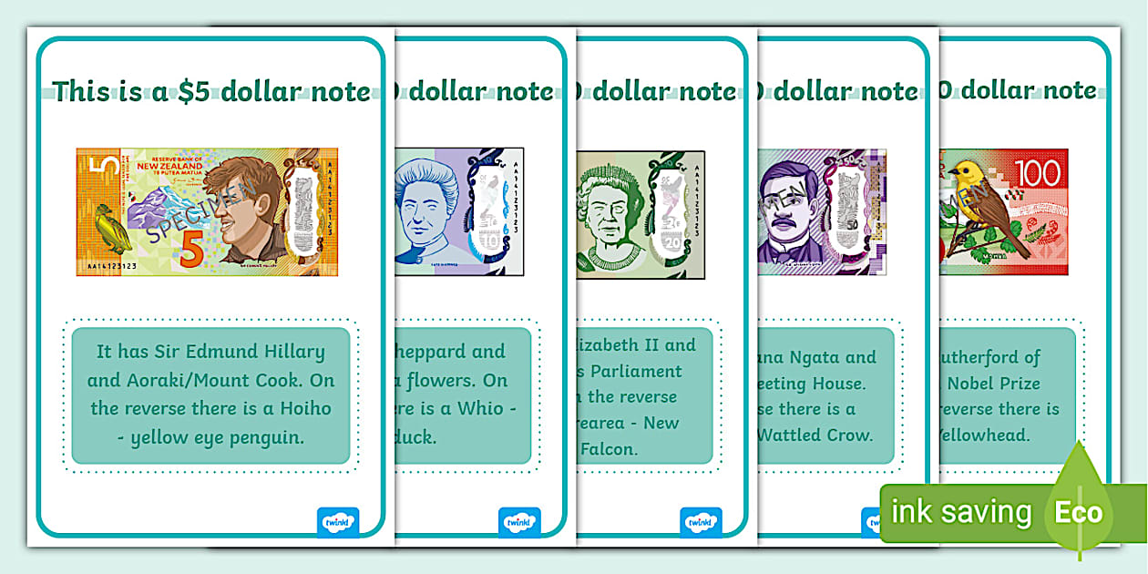 New Zealand Money Notes A4 Display Poster (teacher made)