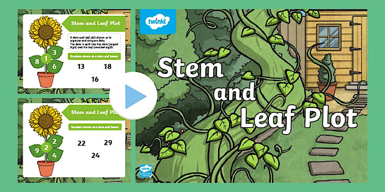 Stem and Leaf Plot PowerPoint (Teacher-Made) - Twinkl