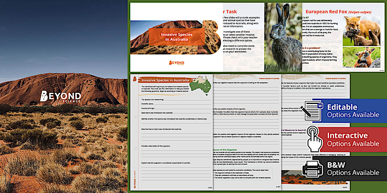 Australian Invasive Species Presentation (teacher made)