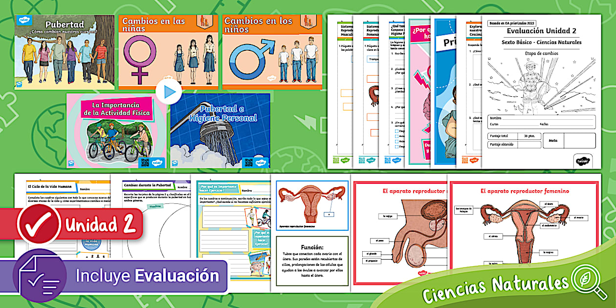 Pack | Unidad | 6° | Pubertad | Ciencias Naturales