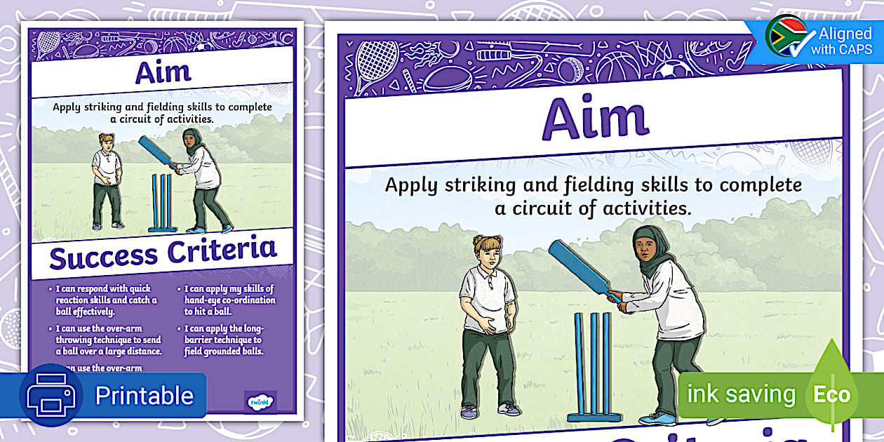 Grade 6 Physical Education Striking Fielding Aims Posters