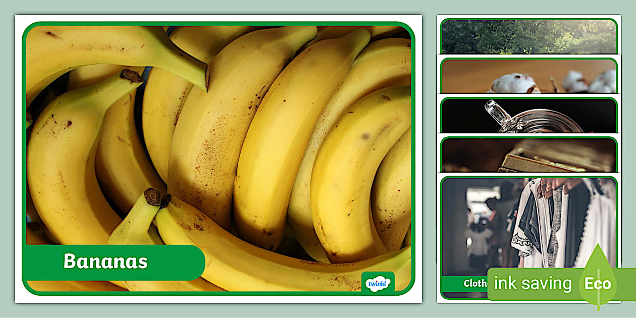 Fairtrade Display Photos (Teacher-Made) - Twinkl