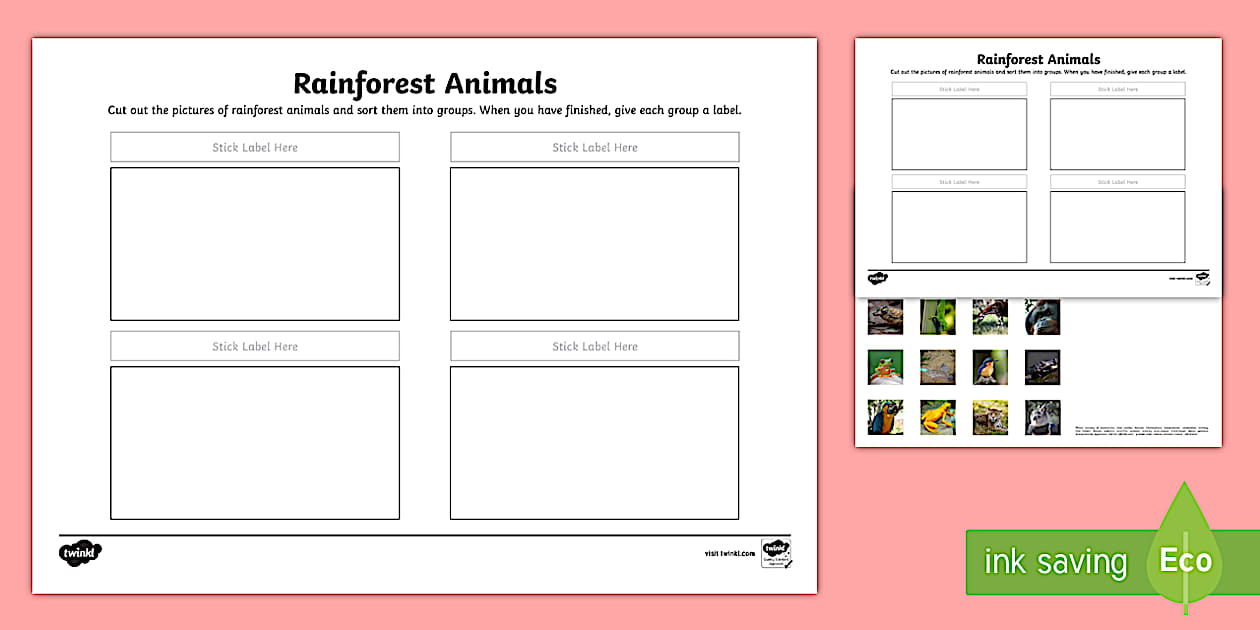 Editable Rainforest Animals Sorting Worksheet / Worksheet