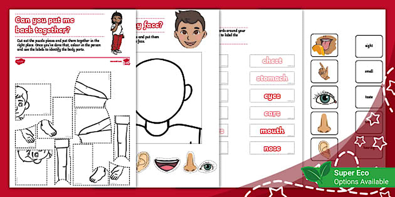 Parts of the Human Body: What am I? (Ages 5 - 6) - Twinkl