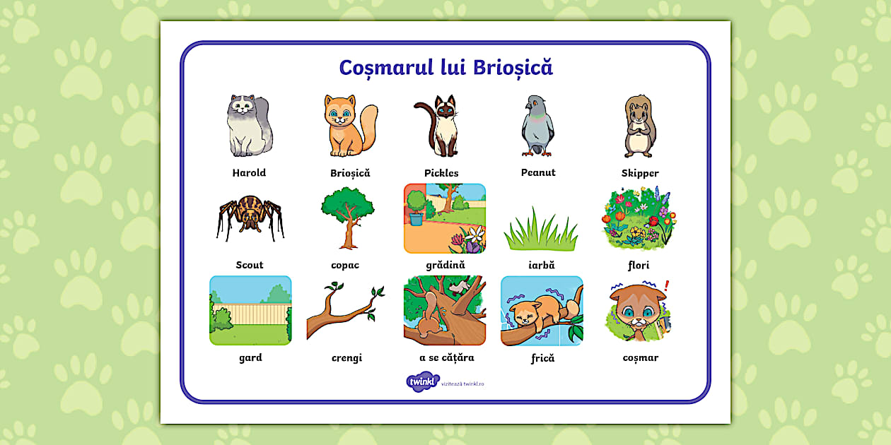 Coșmarul lui Brioșică – Planșă cu vocabular - Twinkl