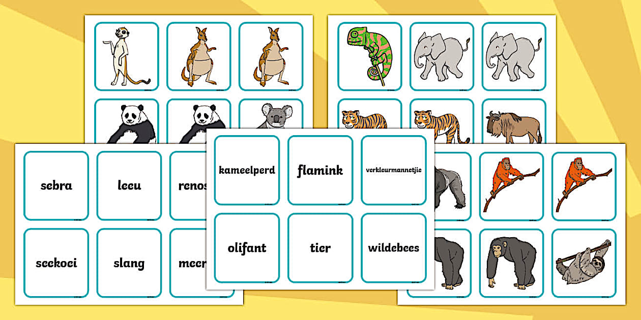 Die Dieretuin Veearts: Diere Paskaartjies (Teacher-Made)