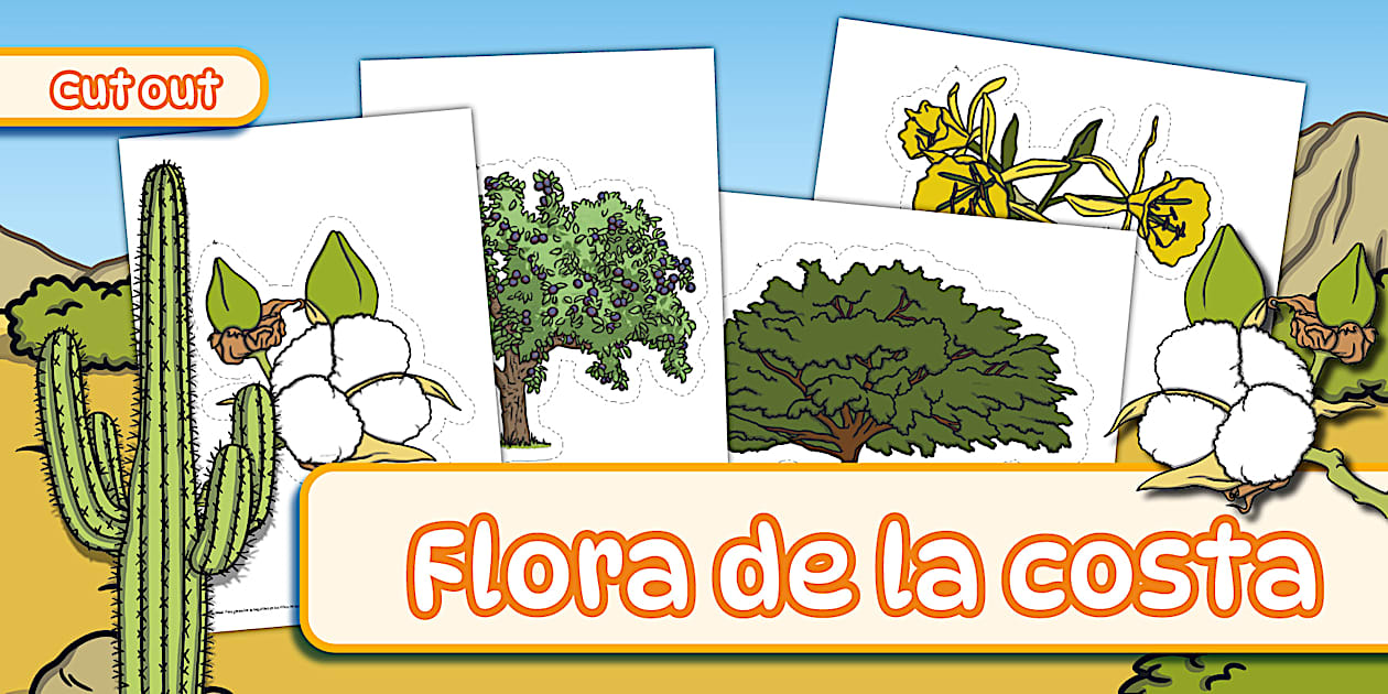 Dibujo de la flora de la costa peruana | Twinkl Perú