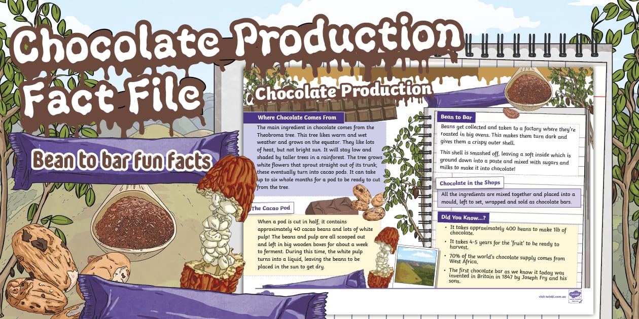 Chocolate Production Fact File