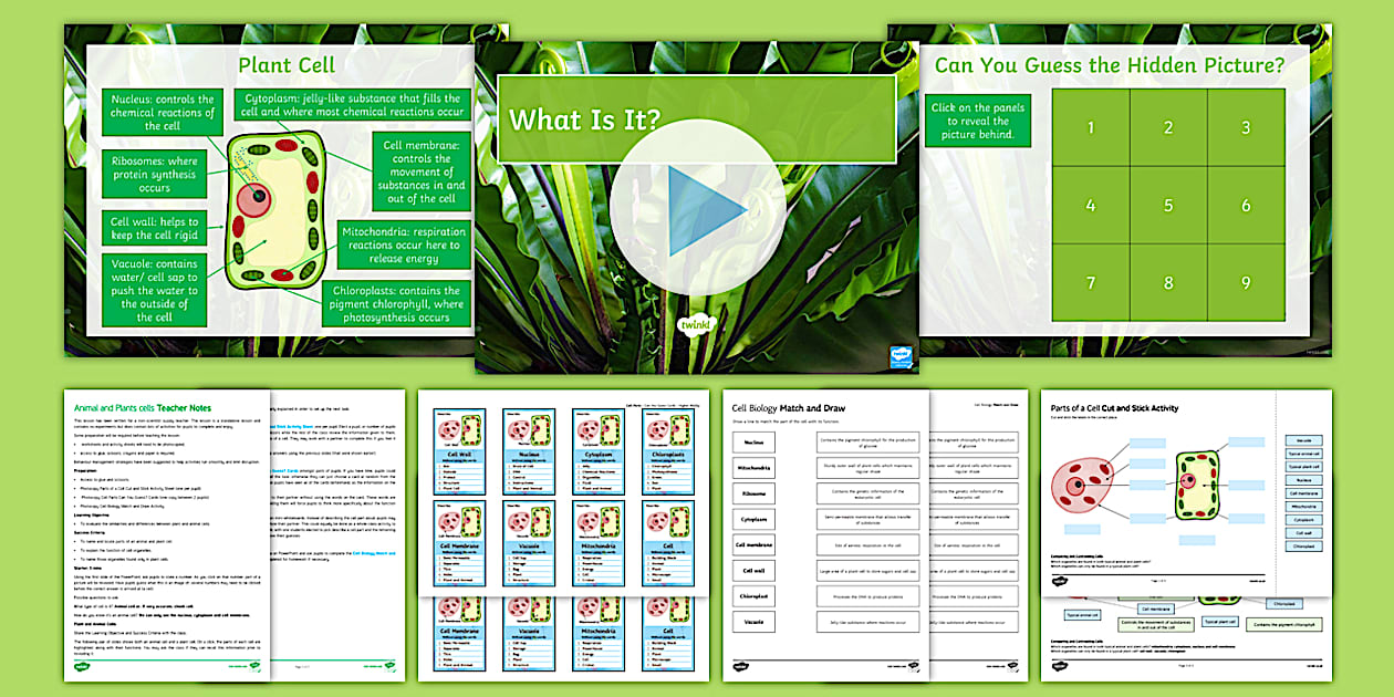 AQA Unit 1 Animal and Plant Cells Cover Lesson Pack - Twinkl