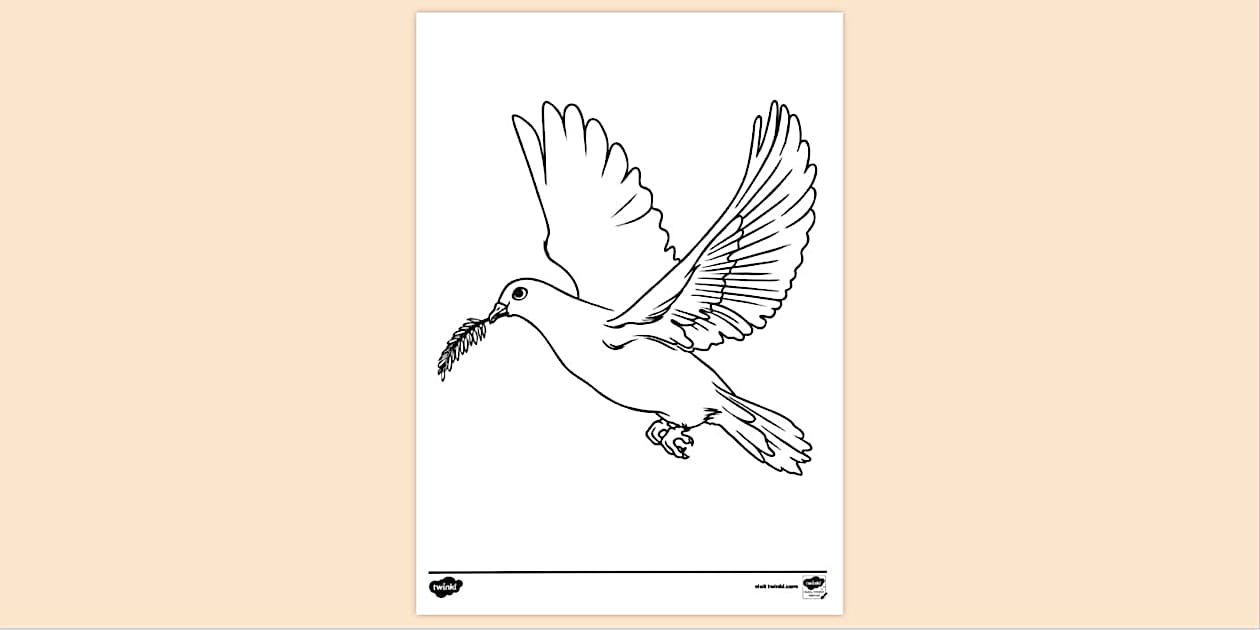 Dove and Olive Branch Colouring Sheet | Colouring Sheets