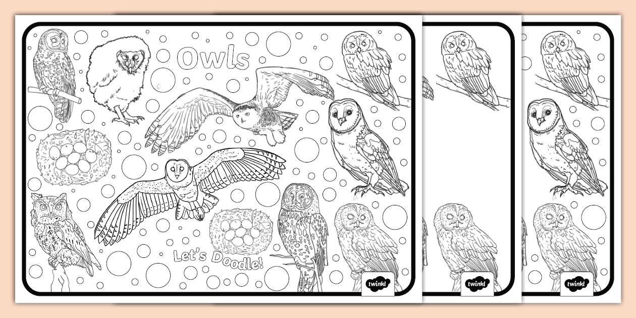 Owl Doodle Colouring Pages - Twinkl KS1 (teacher made)