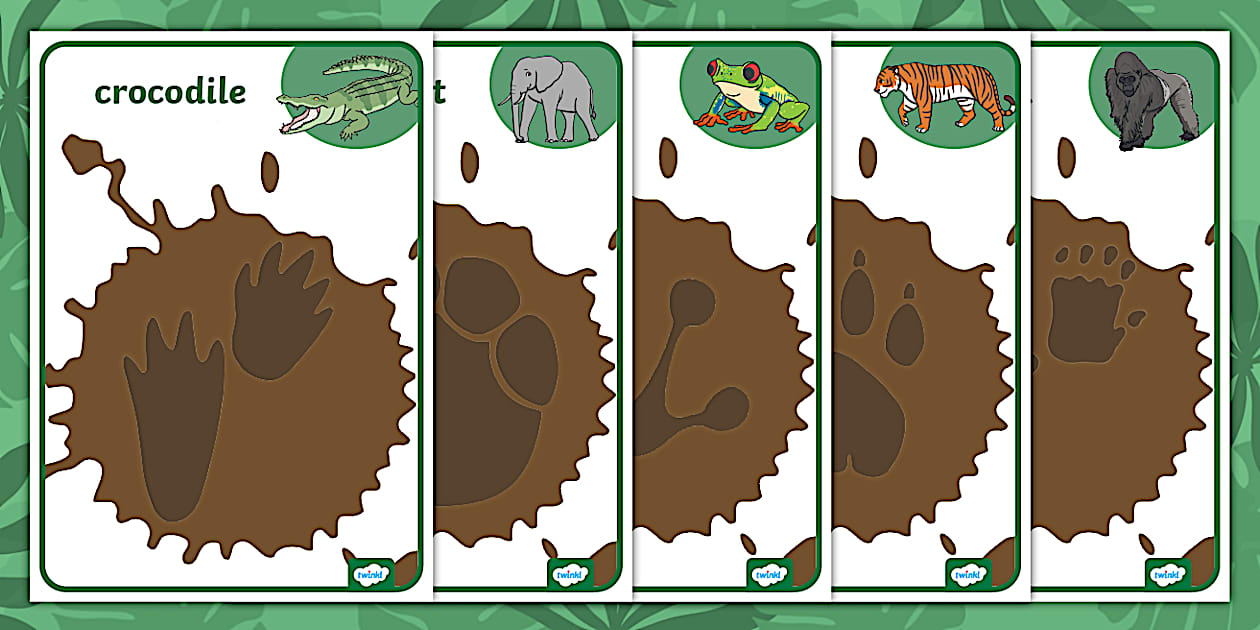 Animal Paw Print A4 Display Posters (teacher made) - Twinkl