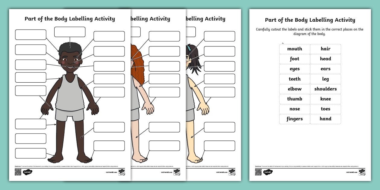 Human Body Parts Label Activity - Human Body Label Worksheet