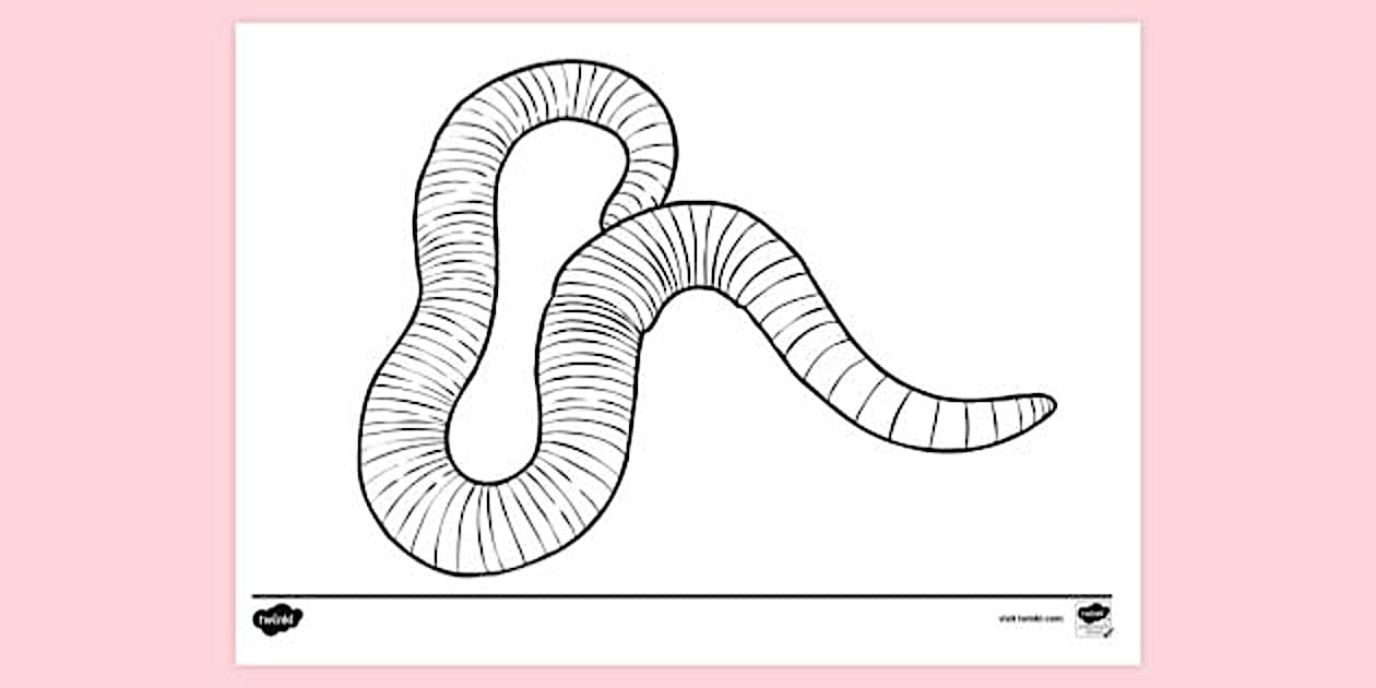 Worm Colouring Sheet | Colouring Sheets - Twinkl
