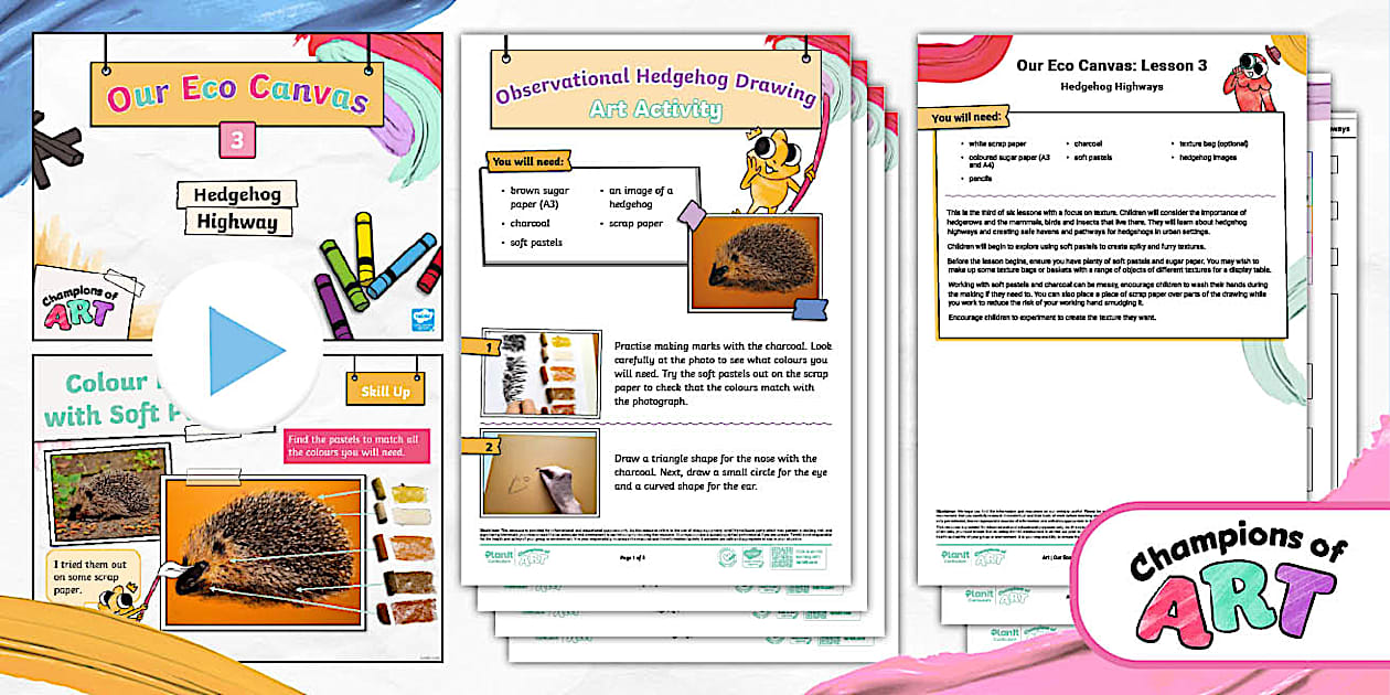 Champions of Art: KS1 Our Eco Canvas - Lesson 3 - Twinkl