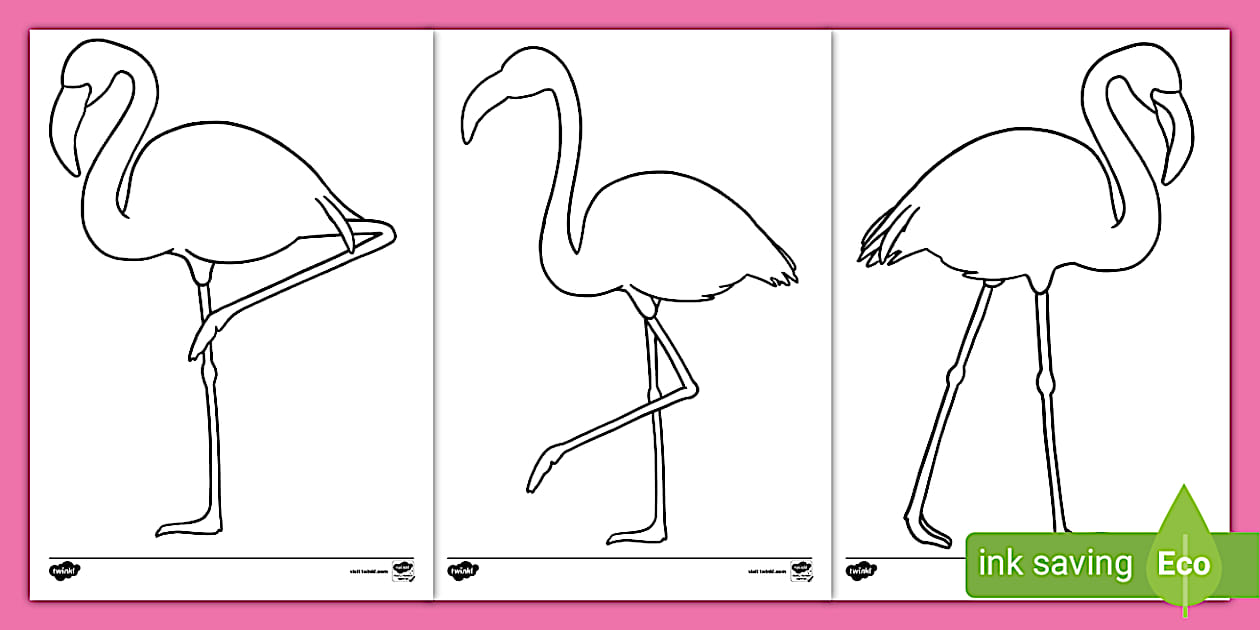 Flamingo Outline Templates (teacher made) - Twinkl