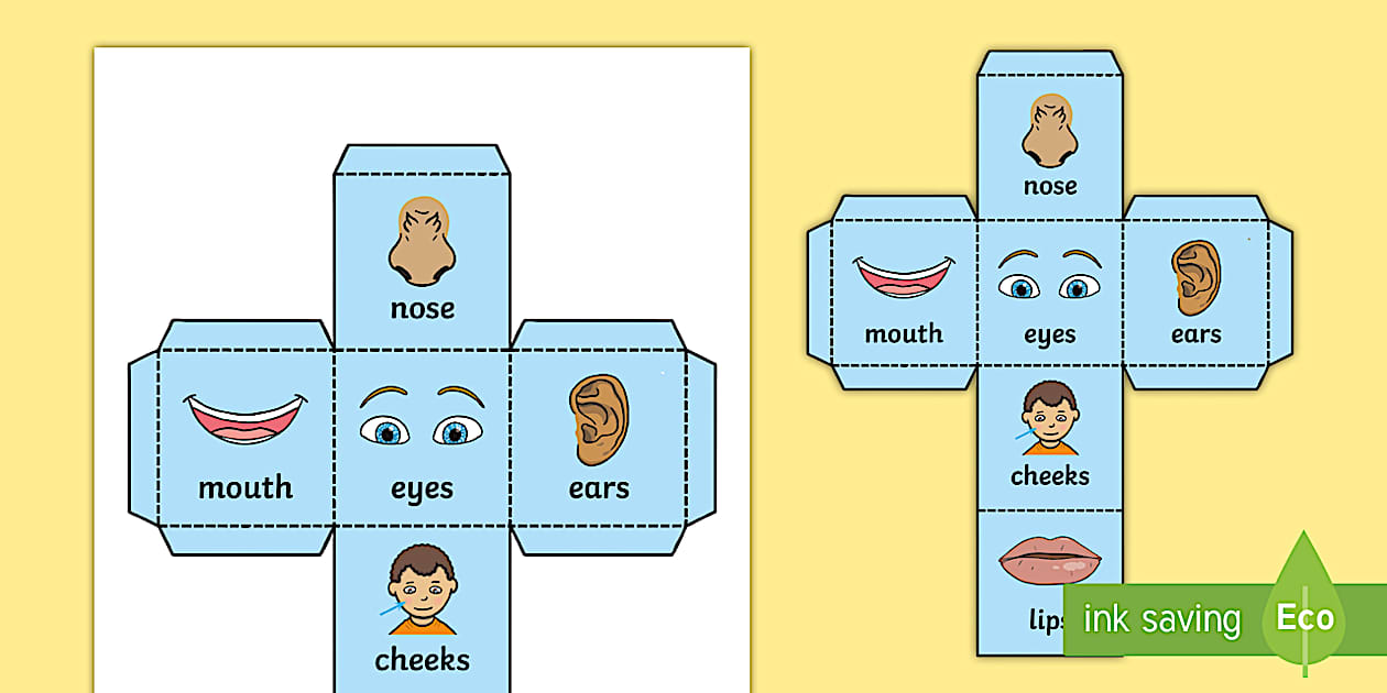 Black and White Parts of the Face Dice Nets (teacher made)
