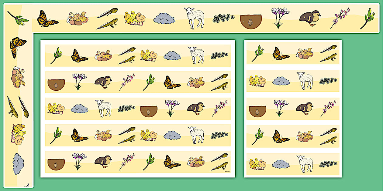 Spring Display Borders (teacher made) - Twinkl