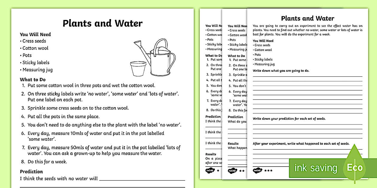 Plants and Water Worksheets - Watering Plants Activity