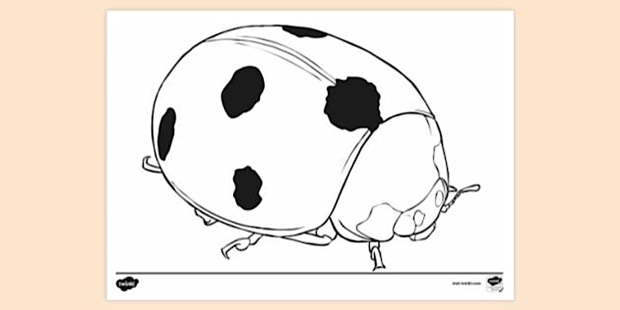 Ladybug Girl Colouring Page | Colouring Sheets - Twinkl