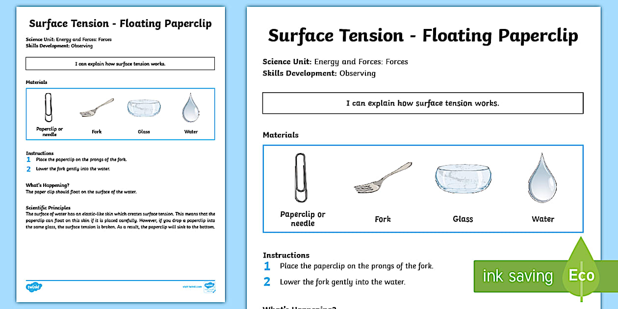 Floating Fish Science Experiment (teacher made) - Twinkl