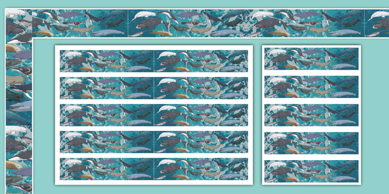 KS2 Whales Display Borders - Twinkl Primary - Twinkl