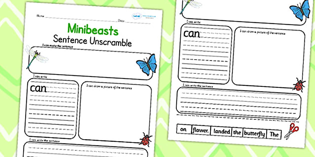 Editable Minibeast Sentence Unscramble (Teacher-Made)