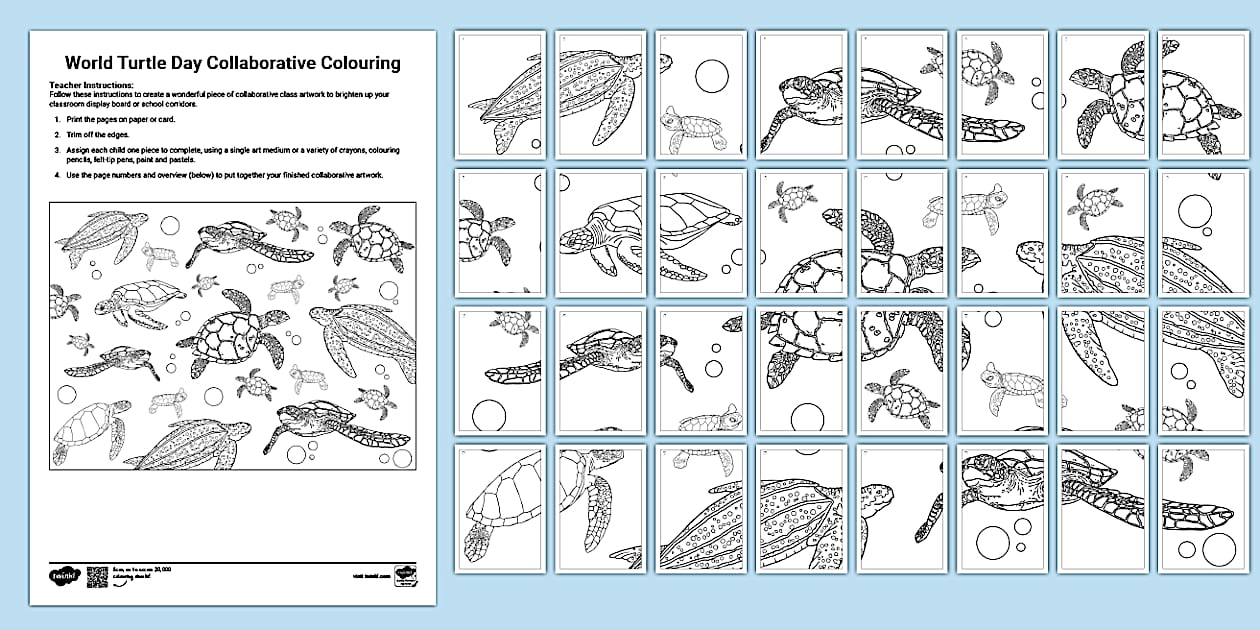 World Turtle Day Collaborative Colouring - Twinkl - KS1