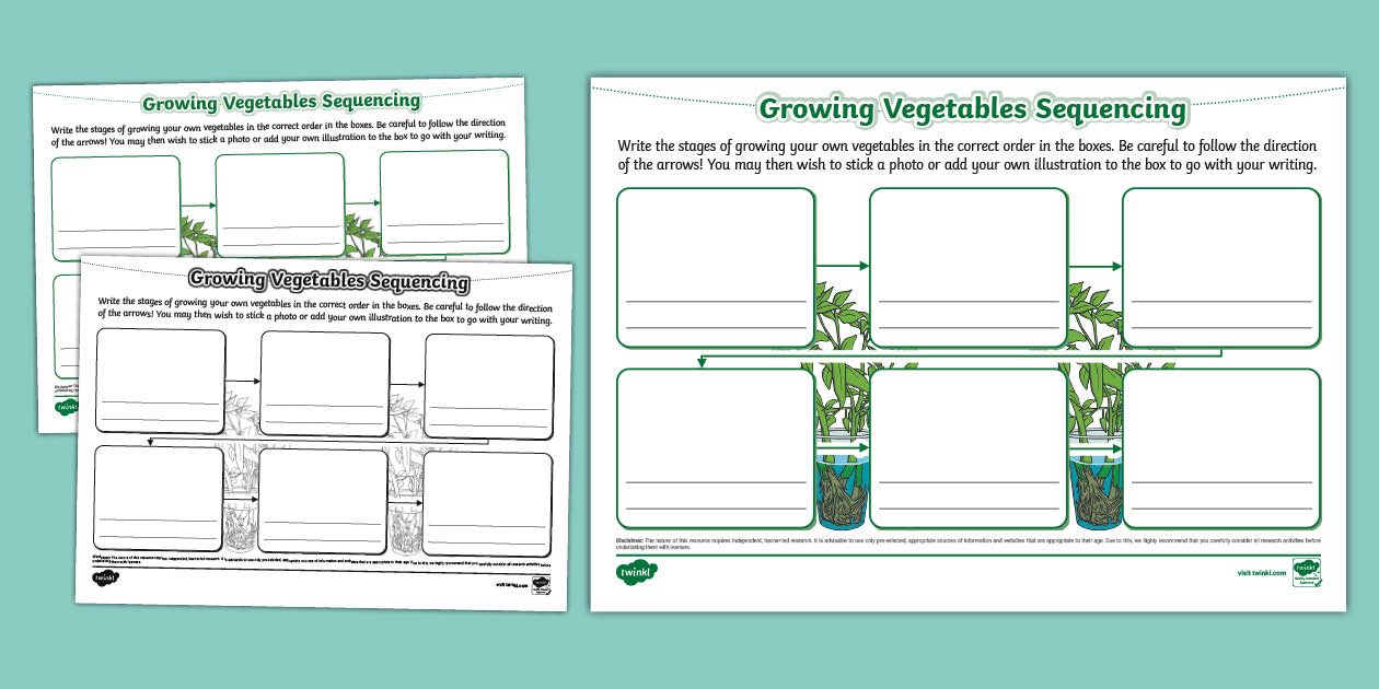Growing Vegetables Sequencing Mind Map (teacher made)