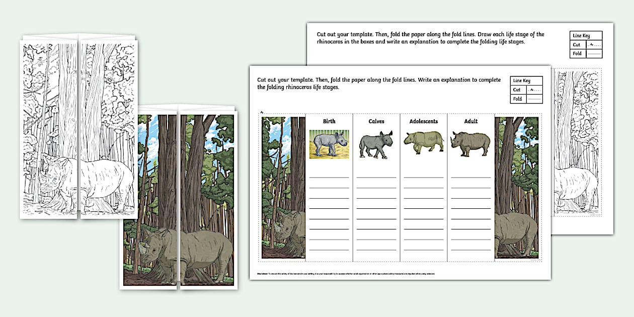 Rhinoceros Folding Life Stages Template (teacher made)