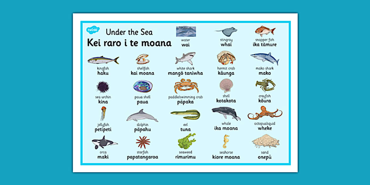 Editable Under the Sea Word Mat Te Reo Māori (teacher made)