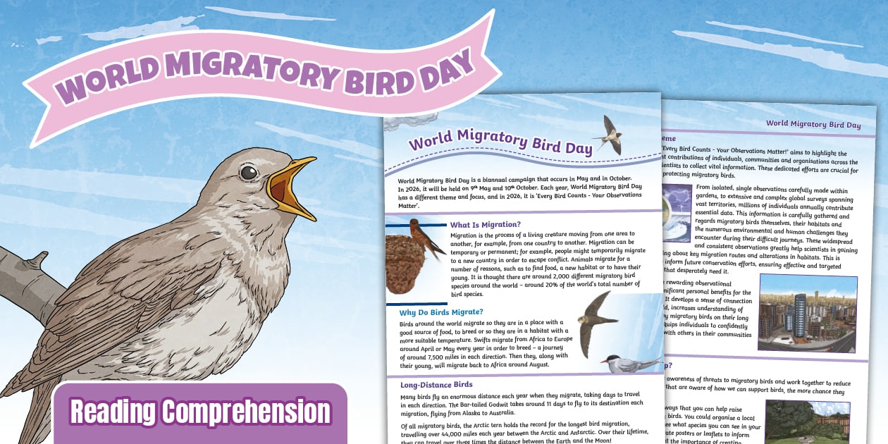 UKS2 World Migratory Bird Day Reading Comprehension