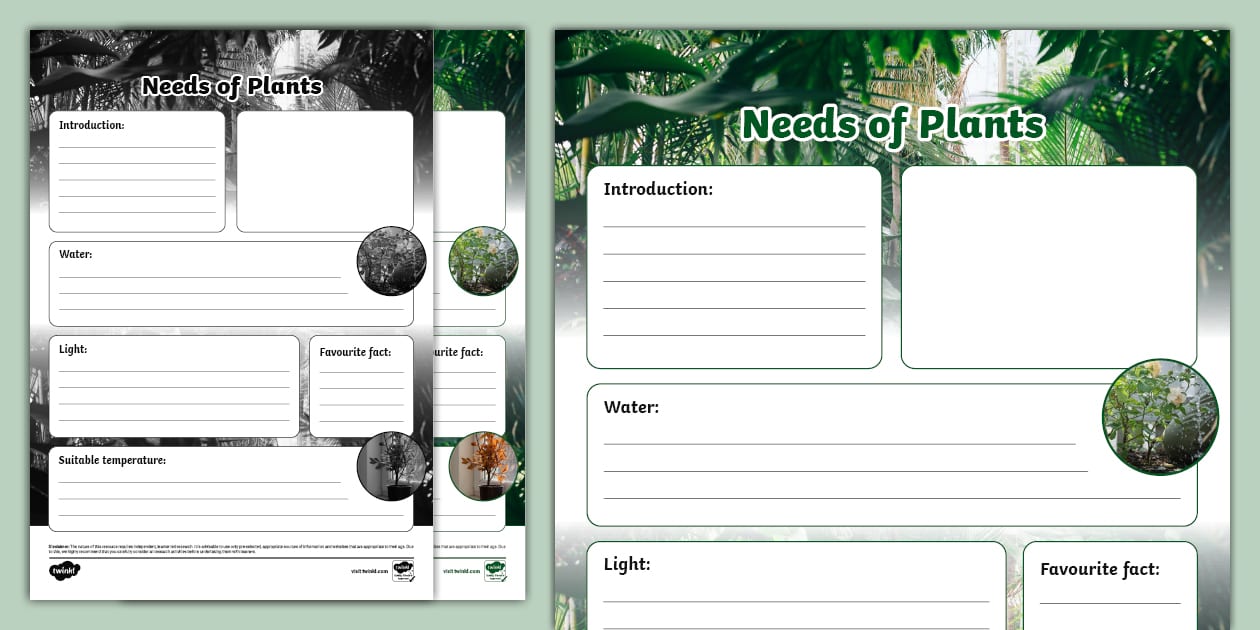 KS1 Needs of Plants Non-Chronological Report Template