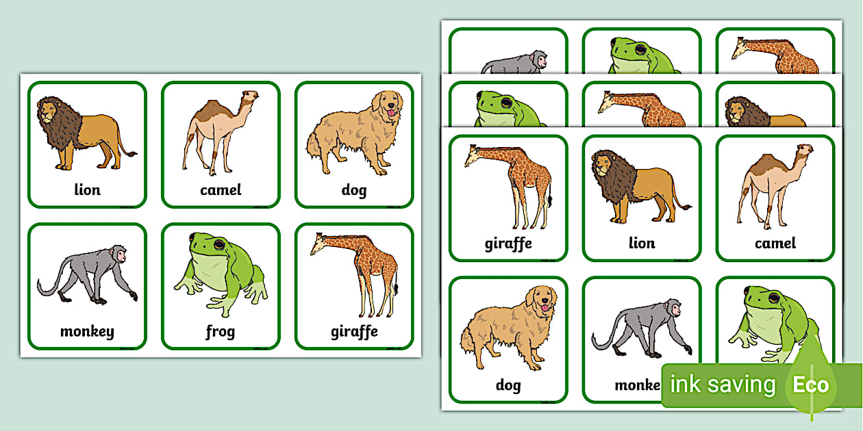 Matching Animals in a Zoo | ESL Matching Cards | Twinkl ESL