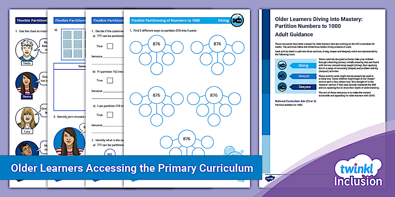 SEND: Older Learners Diving into Mastery: Flexible Partitioning of ...