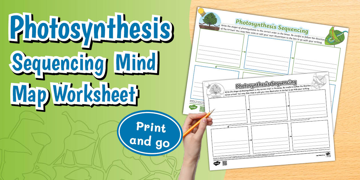 Photosynthesis Mind Map Template | Intermediate Phase