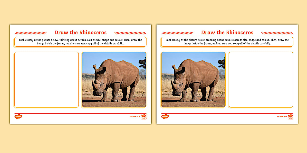 Draw the Rhinoceros Worksheet (teacher made) - Twinkl