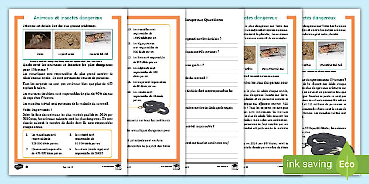 Compréhension écrite différenciée : Les animaux et insectes dangereux