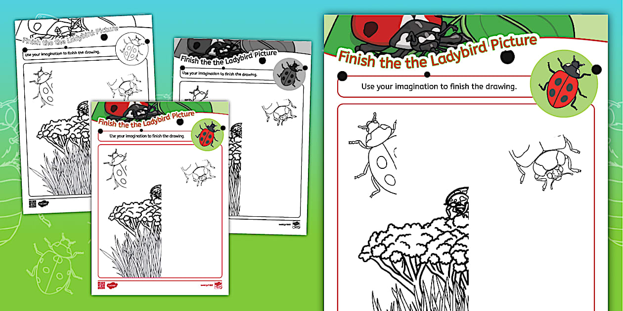 Finish the Ladybird Picture Worksheet (teacher made)