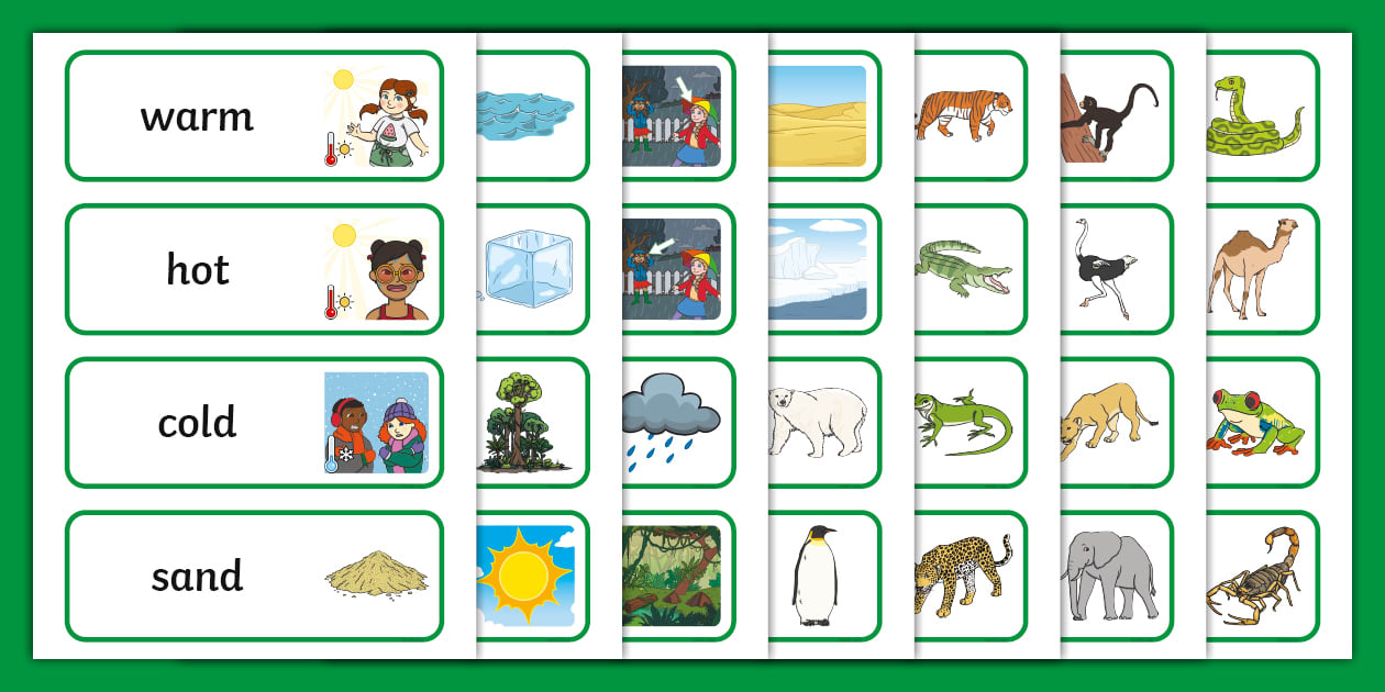 Science Vocabulary Cards From Desert to Jungle White Rose