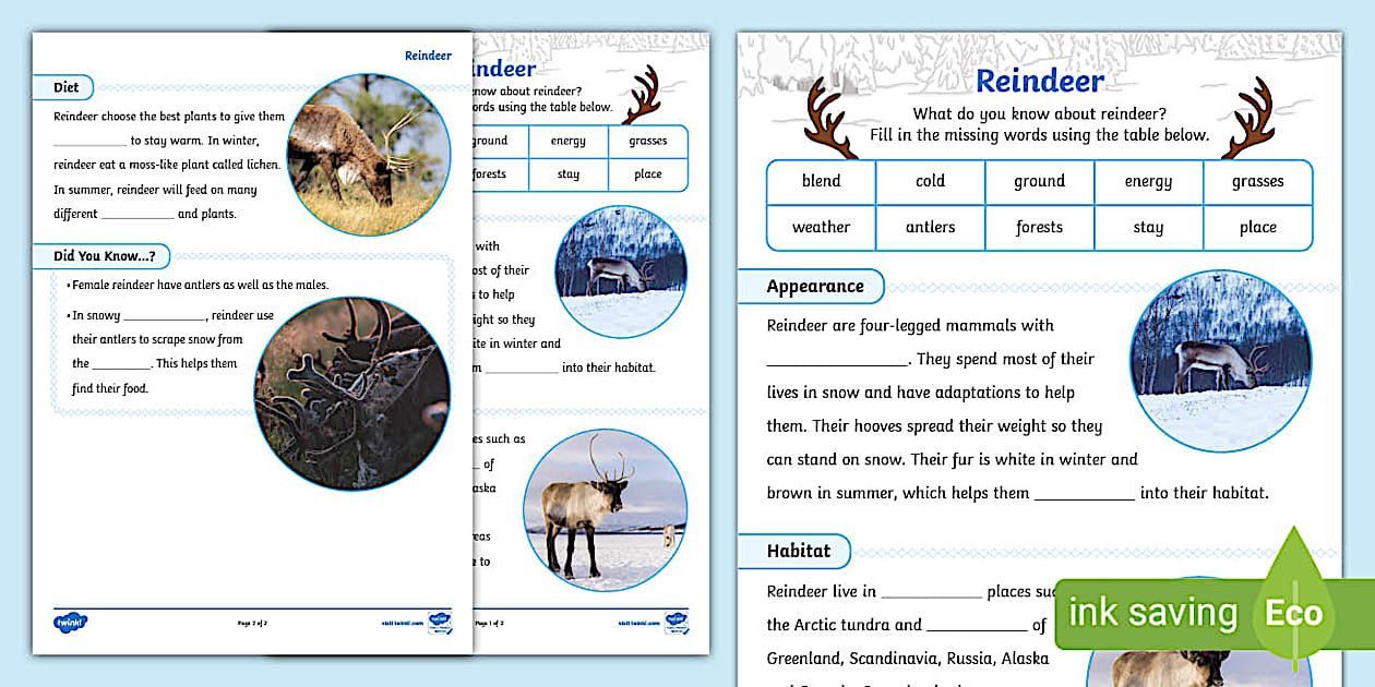 Reindeer Cloze Worksheet (teacher made) - Twinkl