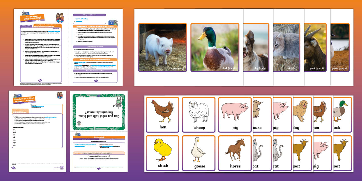 Level 1-2 Aspect 7 Challenge: Spot the Animal (teacher made)