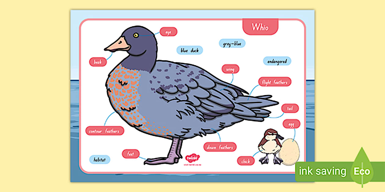Whio Word Mat (teacher made) - Twinkl