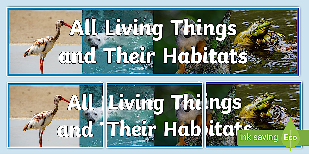 Editable All Living Things and Their Habitats Photo Display Banner