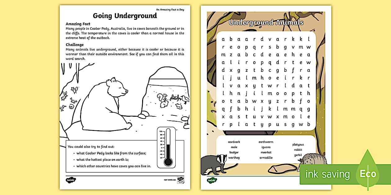 Going Underground Word Search (teacher made) - Twinkl