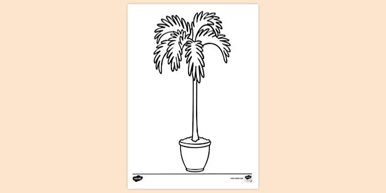 Potted Palm Colouring Sheet (teacher made) - Twinkl
