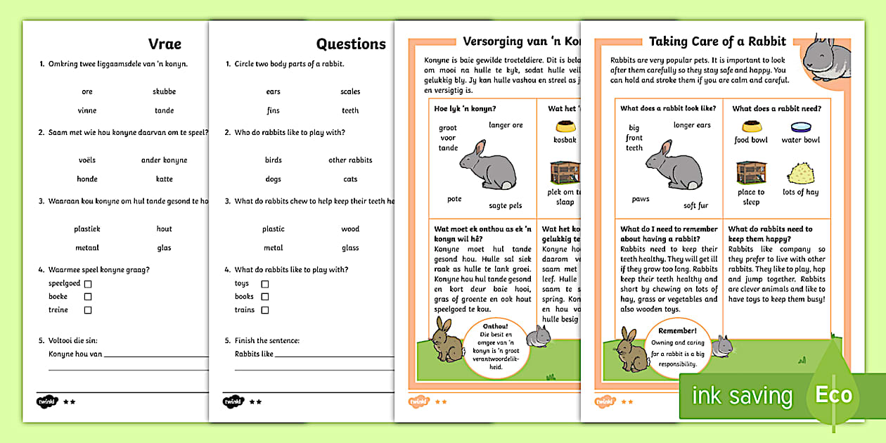 How to Look After a Rabbit Differentiated Reading Comprehension Activity